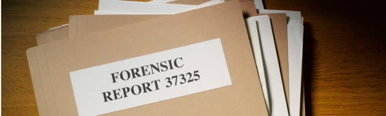 Write a Forensic Report Step by Step [Examples Inside]