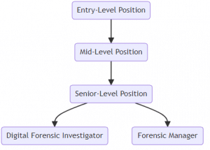 Digital Forensic Examiner: Definitive Career Guide 2025