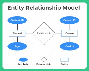 Database Schema vs. Model: Exploring Key Differences